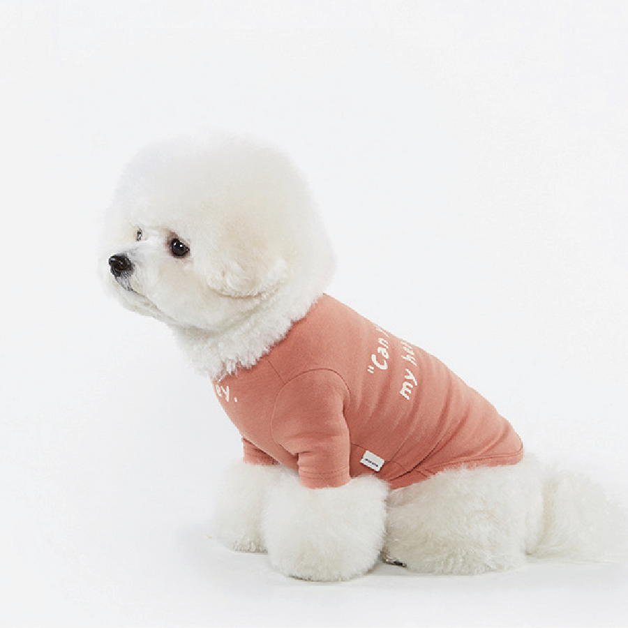 Hey ! スリーブハイブリットトップス ｜おしゃれドッグウェア通販 Dr.Pettle – Dr.pettle